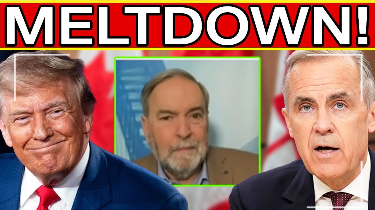 Canadian Reporter Melt Down Live On Air Over Donald Trump - YouTube
