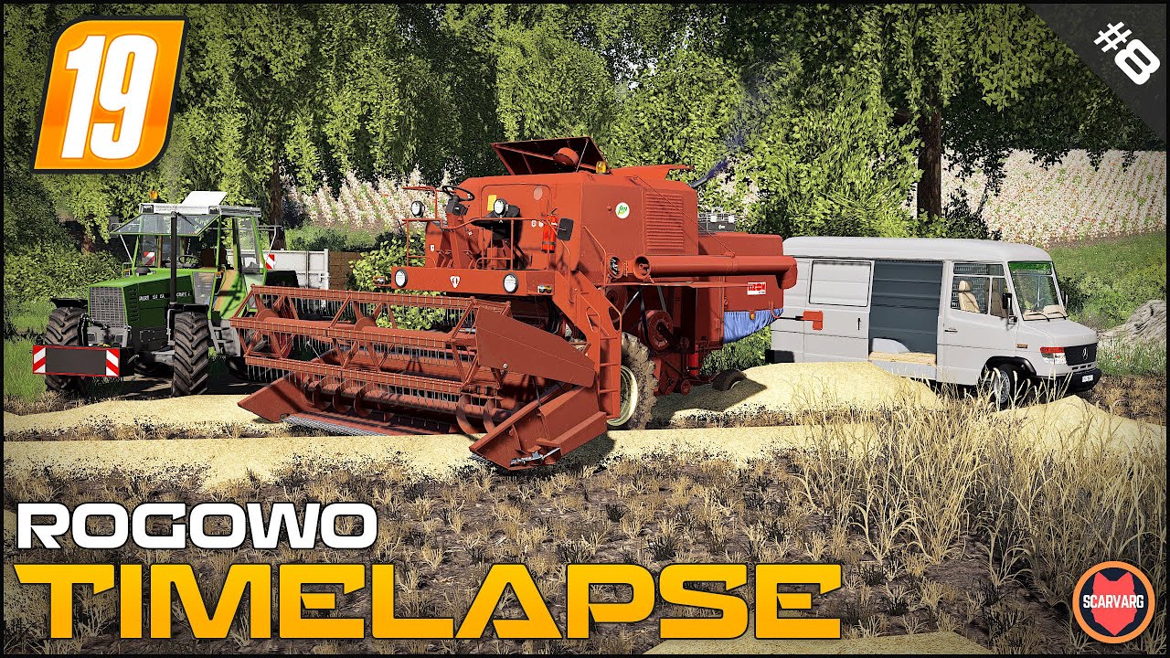 🇵🇱 Bizon Super Z056 Broke Down Again, Harvesting Wheat ⭐ FS19 Rogowo ...