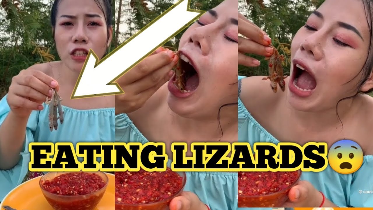Eating a lizard mukbang asmr - YouTube