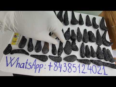 Tektic Việt Nam water drops