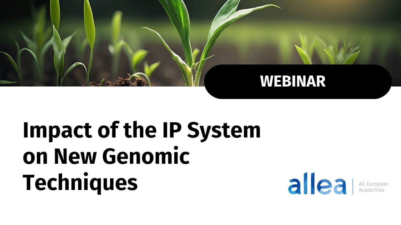 Webinar: Impact of the IP System on New Genomic Techniques - YouTube