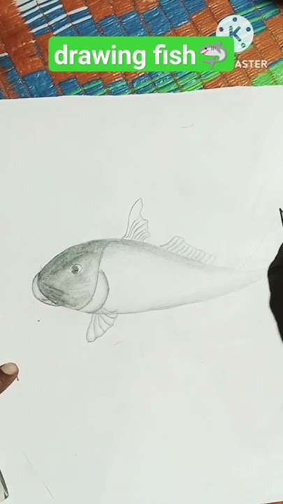 🦈मछली का चित्र असानी से बनाएं।।drawing fish easy way #art #shorts # ...