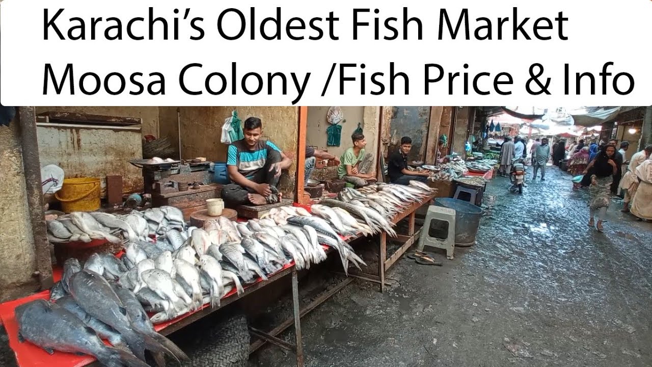 Fish Market Karachi / Oldest Fish Market Mossa Colony Fb Area / Fish ...