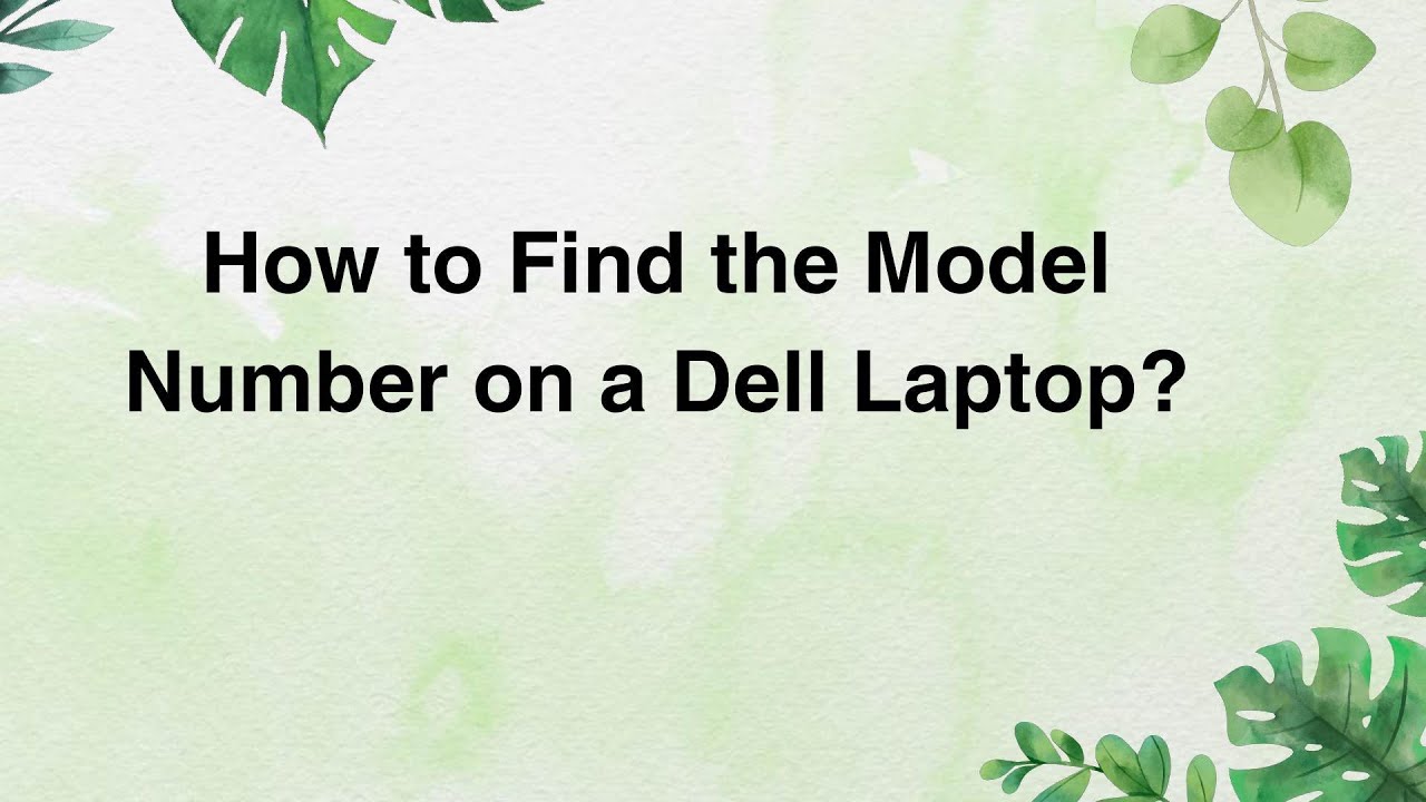 How to Find the Model Number on a Dell Laptop? - YouTube