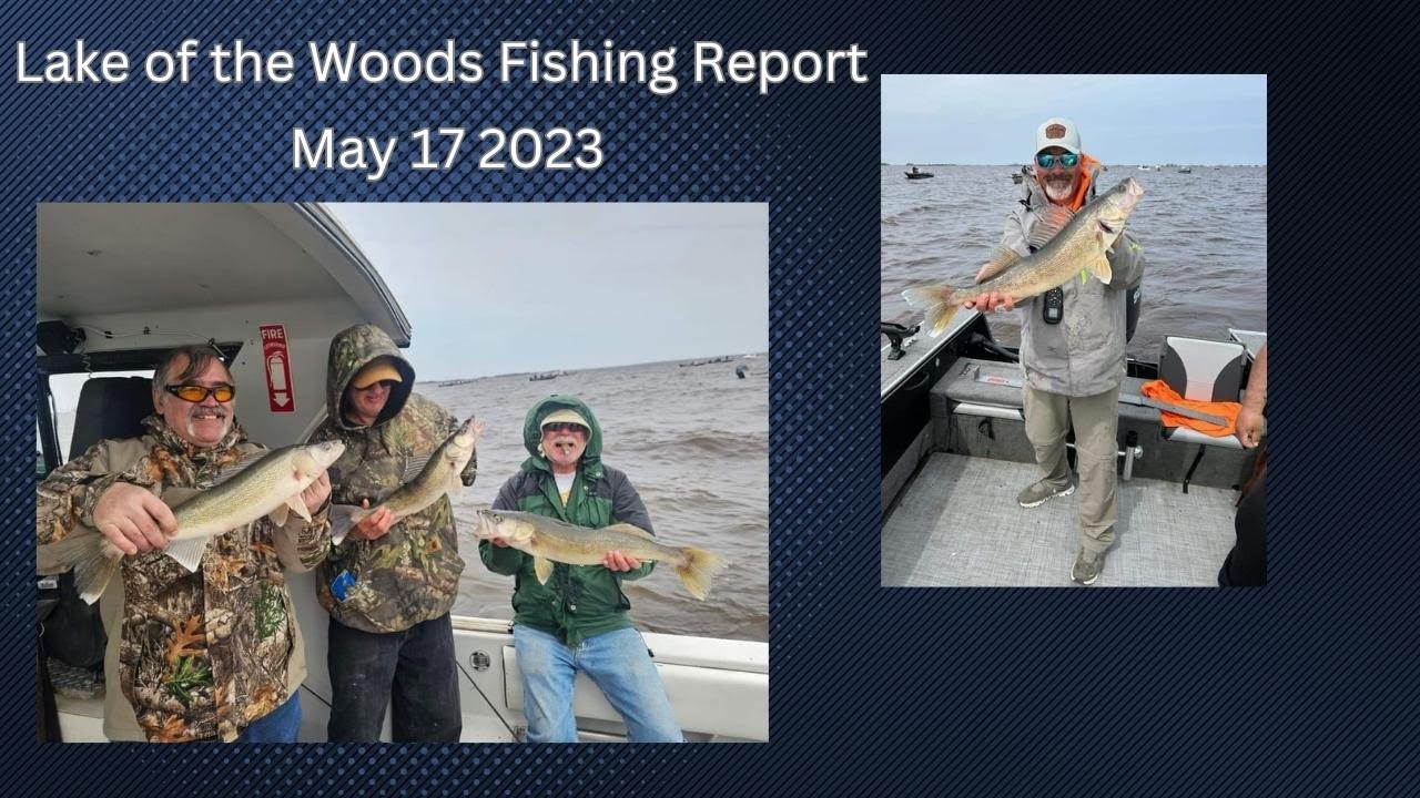 Lake of the Woods Fishing Update - YouTube