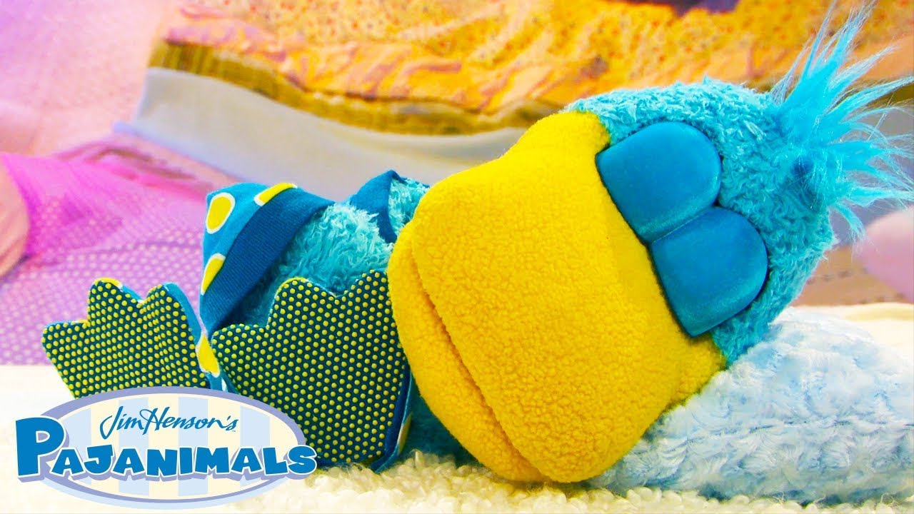 Don't Want to Go to Bed? | LEARN | Pajanimals - YouTube