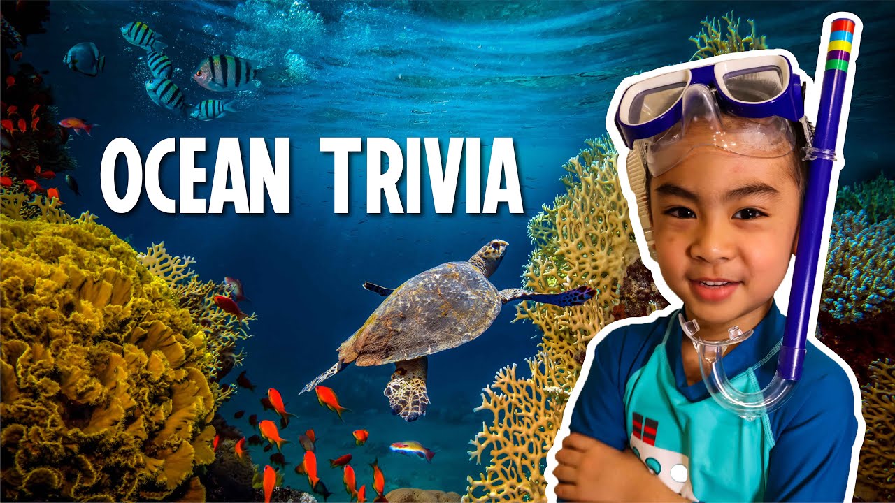 Ocean Trivia for kids - YouTube