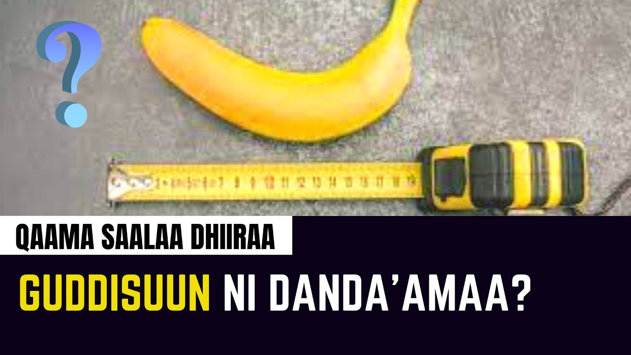 Walquunnamtii saalaa 2021- Qaama saalaa dhiiraa guddisuun ni danda'amaa ...