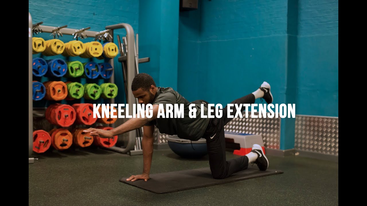 Kneeling Arm & Leg Extension: Mobility & Injury Prevention - YouTube