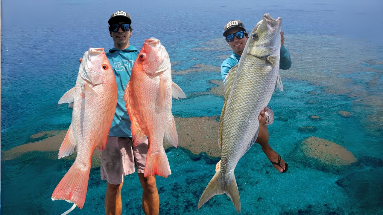 Catching fish for Food - Jigging and bait fishing the reef for a box ...