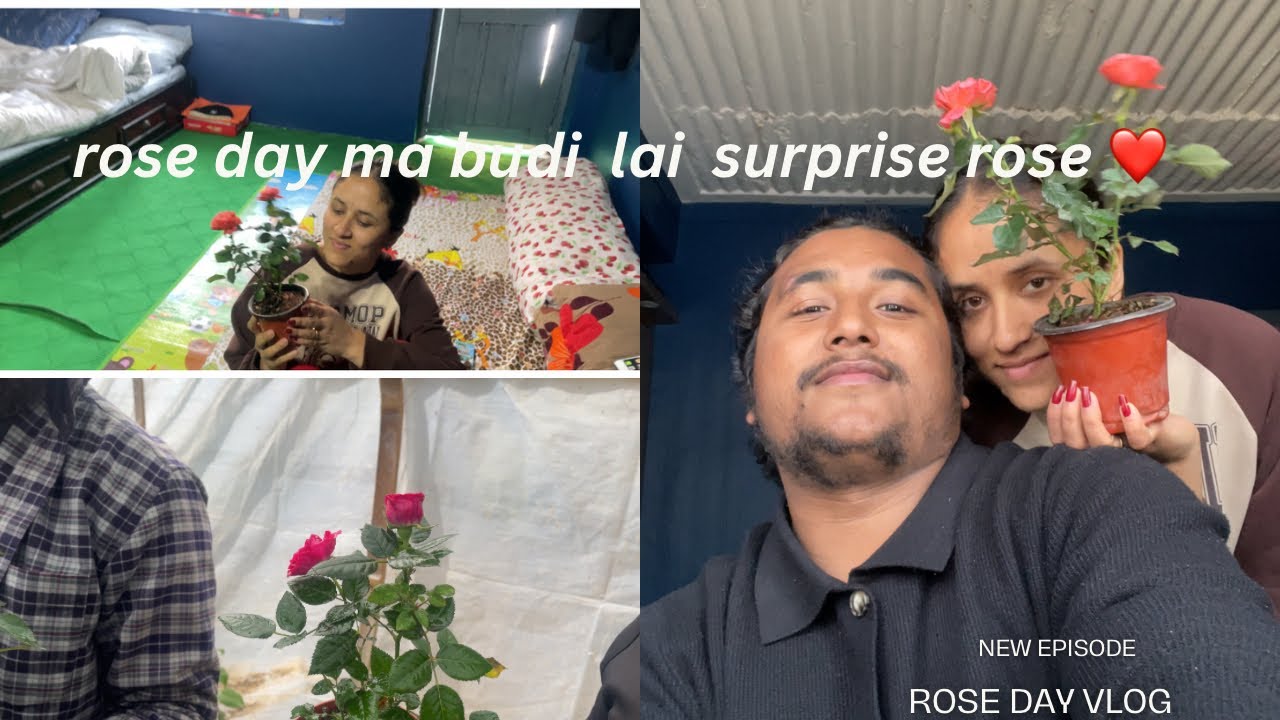 rose day special 🌹 ️ - YouTube