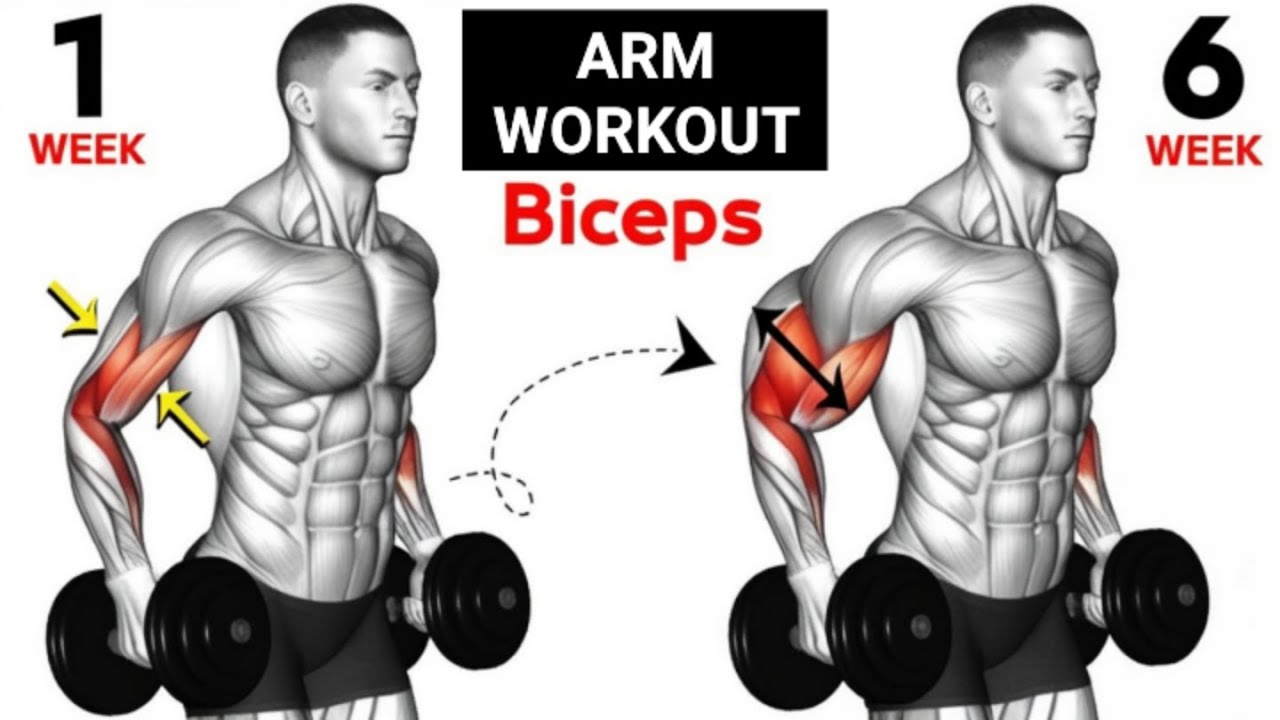Top 10 Best Biceps Workout | How To Build Bigger Arms - YouTube