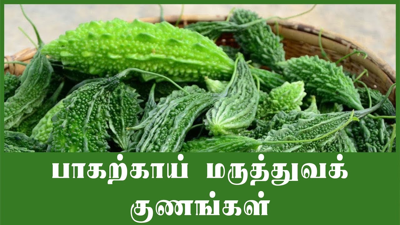 Medcinial Benefits Of Bitter Gourd In Tamil YouTube medcinial-benefits-of-bitter-gourd-in-tamil-youtube
