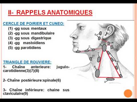 Adénopathies cervicales chroniques-Dr.hamdi - YouTube