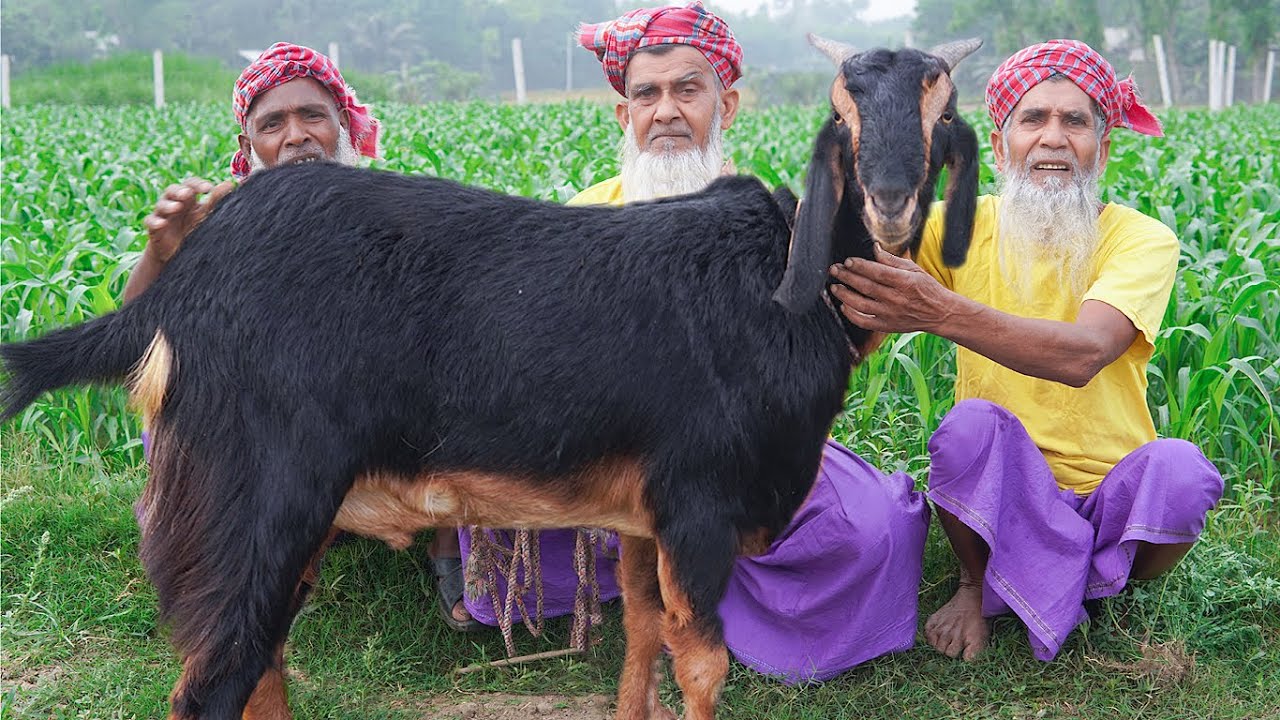30 KG Big Goat Mutton Kosha with Polao Rice - Meat Curry Recipe Cooking ...