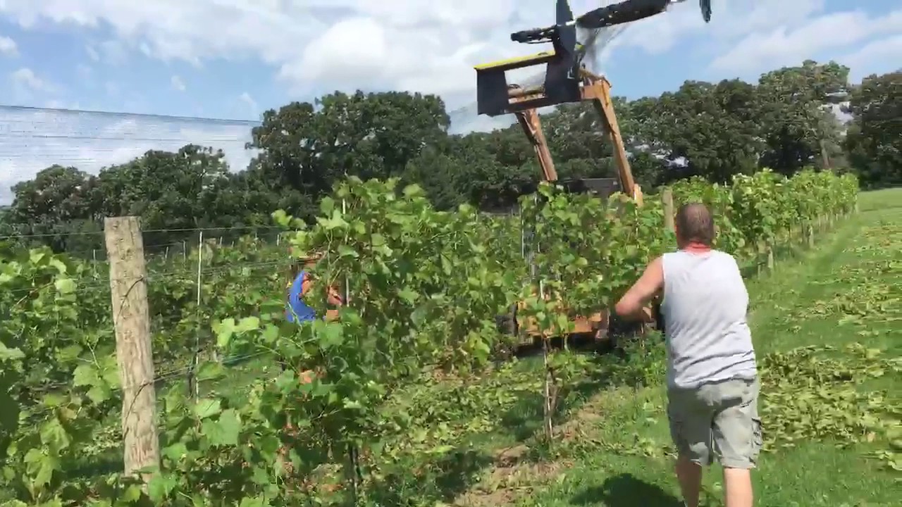 Vineyard Bird Netting Un-roller - YouTube