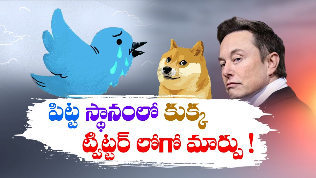 Twitter Logo Changed! | Why Did Elon Musk Replace Twitter`s Blue Bird ...