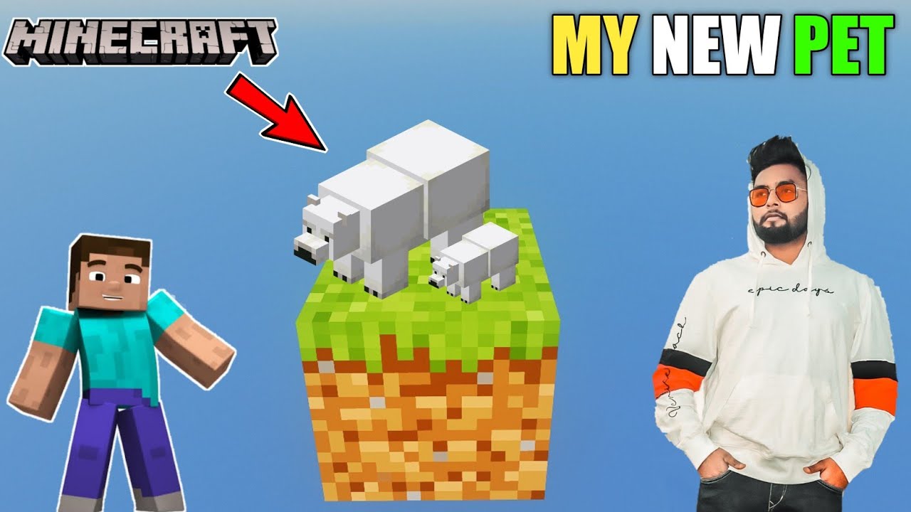 I FOUND POLAR BEAR IN ONE BLOCK || BB IS LIVE - YouTube