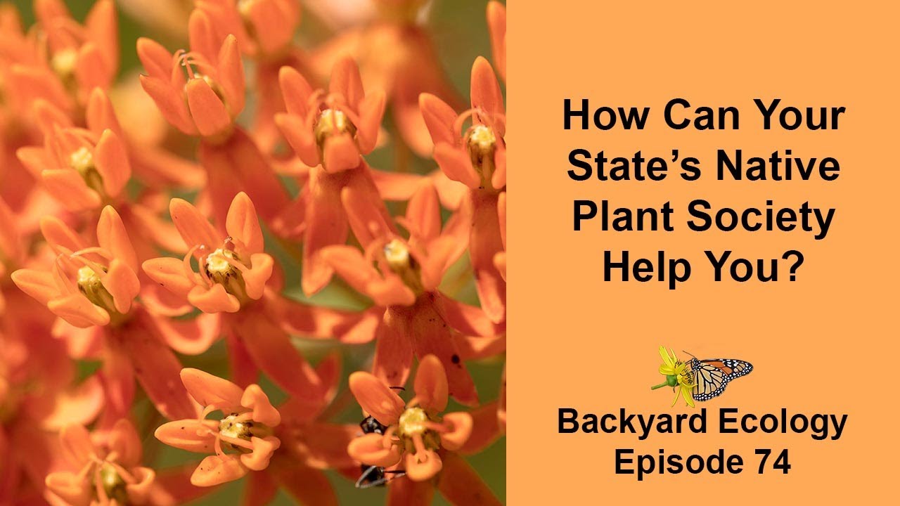 How Can Your State’s Native Plant Society Help You? - YouTube