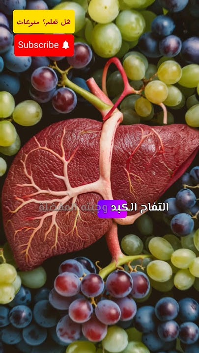 هل تعلم ماهي الأطعمة المفضلة لكل عضو في جسم الإنسان ؟ Viralvideo اكسبلور Viralshorts Youtube