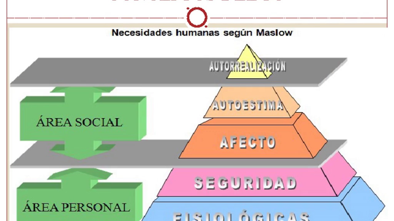 MODELOS PERSONALES - YouTube