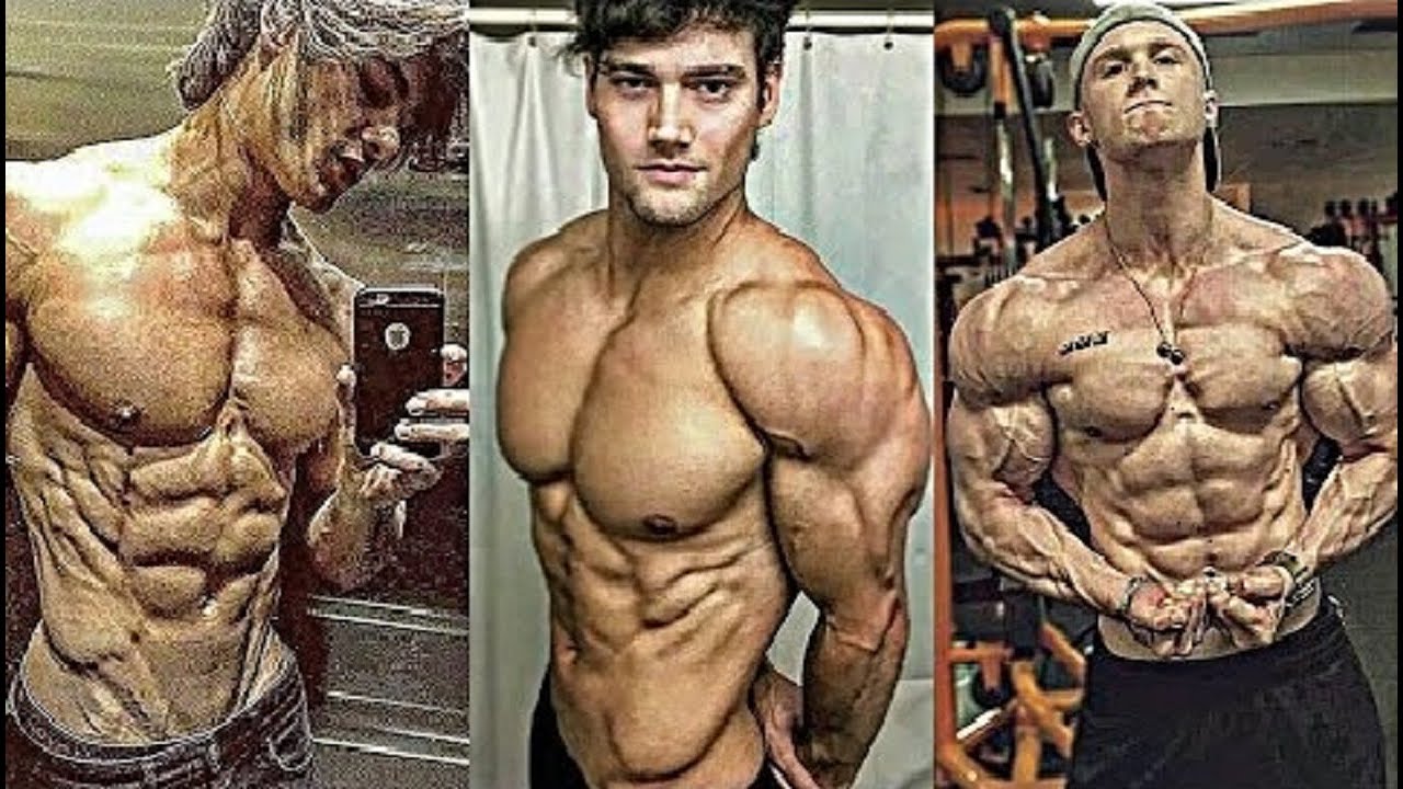 TOP STEROID CYCLE FOR BEGINNERS That You Should Never Mess With - YouTube