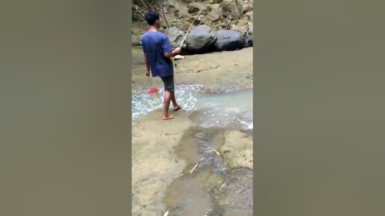 survival lagi mancing ikan wader #mancingikanwader #mancingwader #mancing #ikanwader #waderkali ...