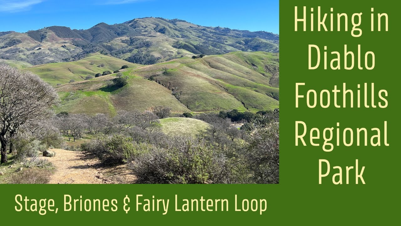 Stage, Briones & Fairy Lantern Loop - YouTube