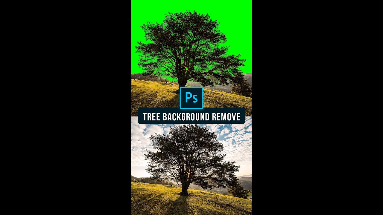 How To Remove 🌳 Tree Background in Photoshop - YouTube