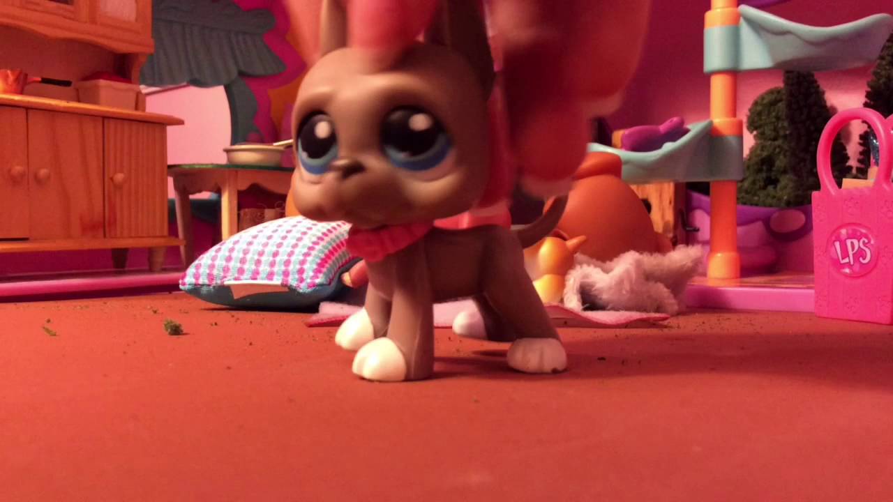Updates for peeps - YouTube