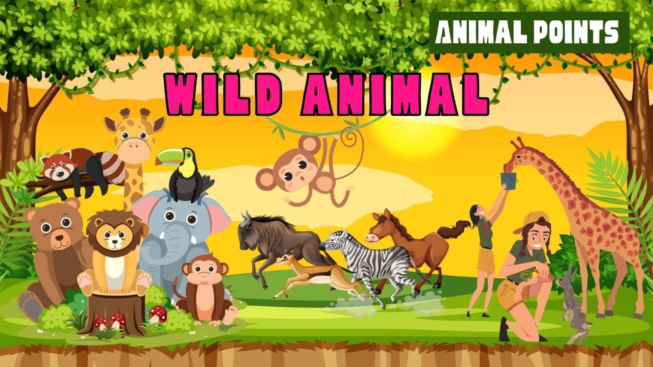 The Secret Scenes of WildLife Video || Animal Points - YouTube