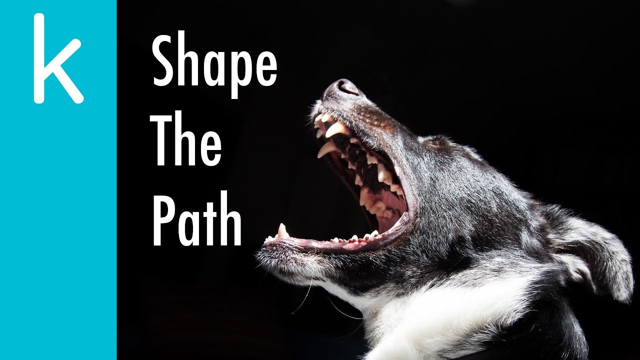 Shape The Path - Ep. 42 - YouTube