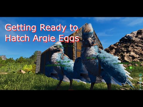 Getting Ready to Hatch Argie Eggs and Get Attacked by a Carnosaur- Ark ...