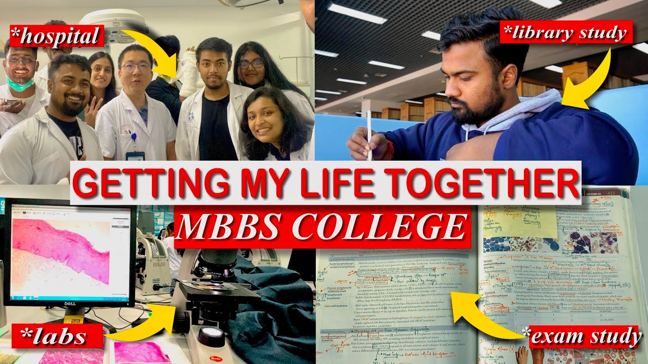 MBBS in CHINA Vlog| Indian MBBS Student Life in China 🇨🇳| A day in life ...