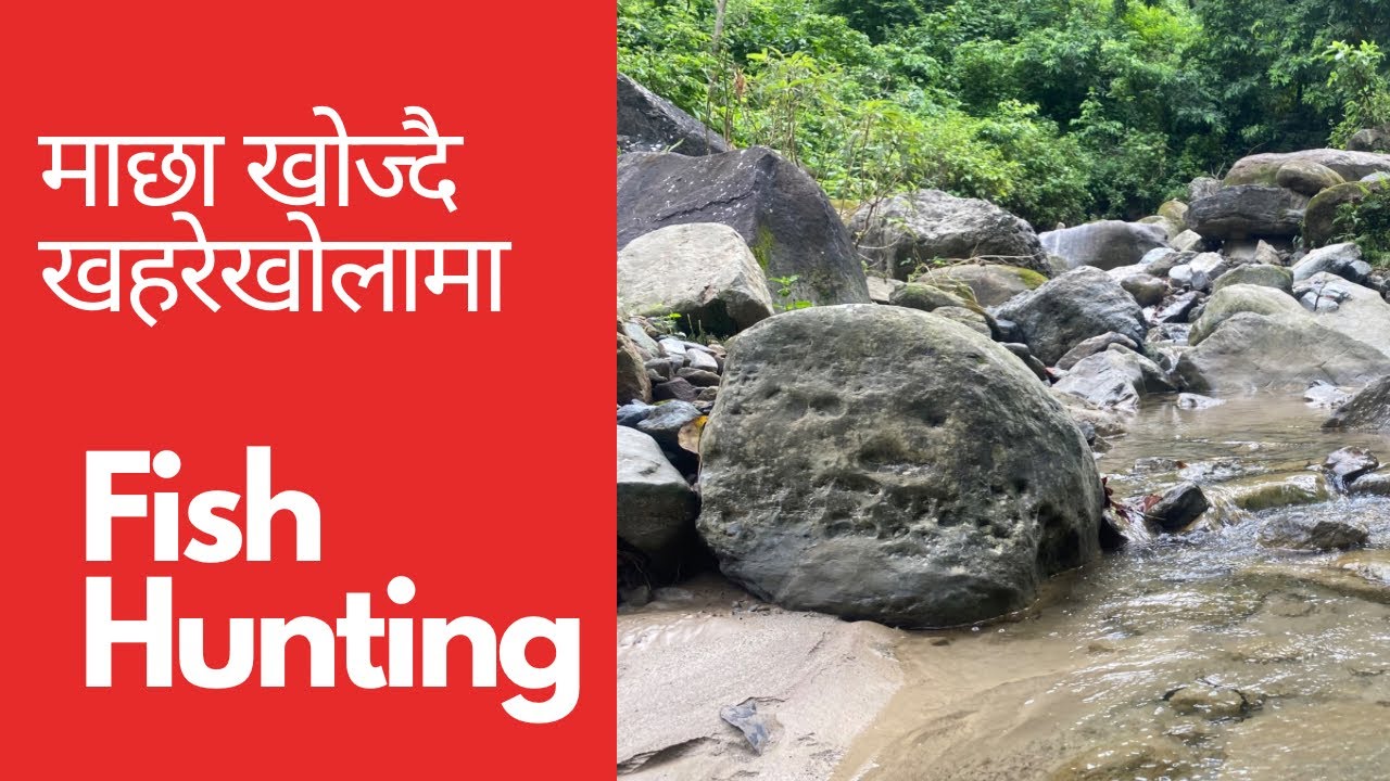 Fish hunting || Small river and waterfall || माछा खोज्दै खहरे खोलामा ...