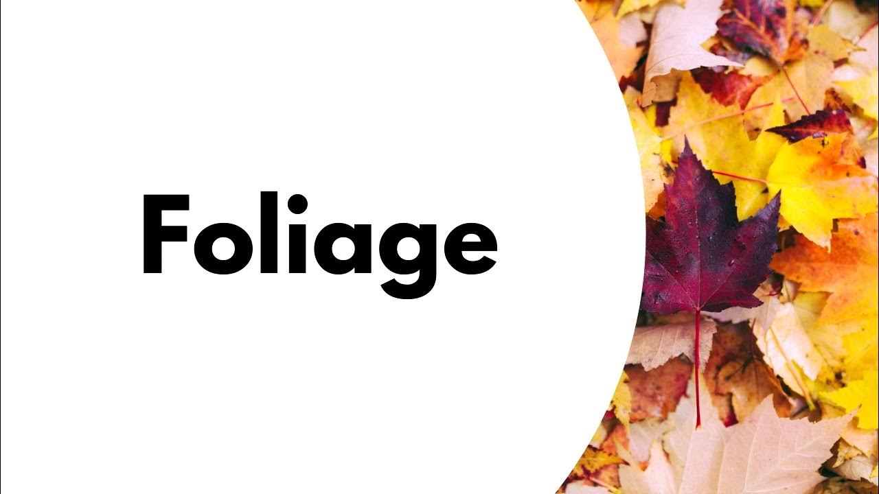 How To Pronounce Foliage YouTube how-to-pronounce-foliage-youtube