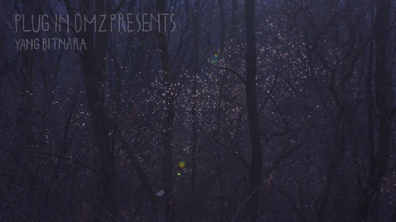 양빛나라 yang bitnara [Plug in DMZ] 14 dance with the wind - YouTube