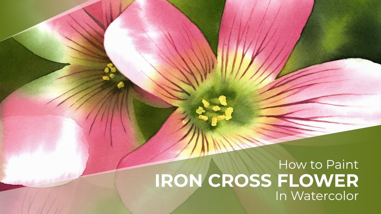 How to Paint Iron Cross Flower in Watercolor - Tutorial preview - YouTube