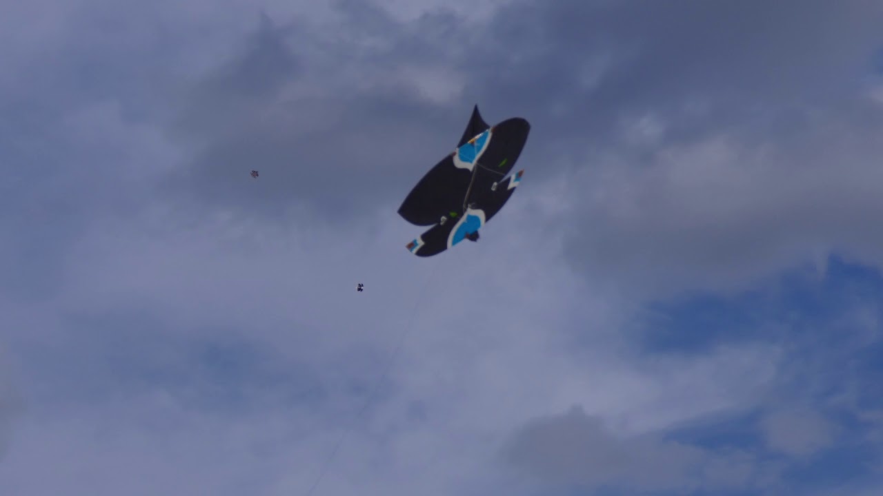 Patang Bazi in Canada ( Kite Fighting ) Kite Flying Pipa Combate - YouTube