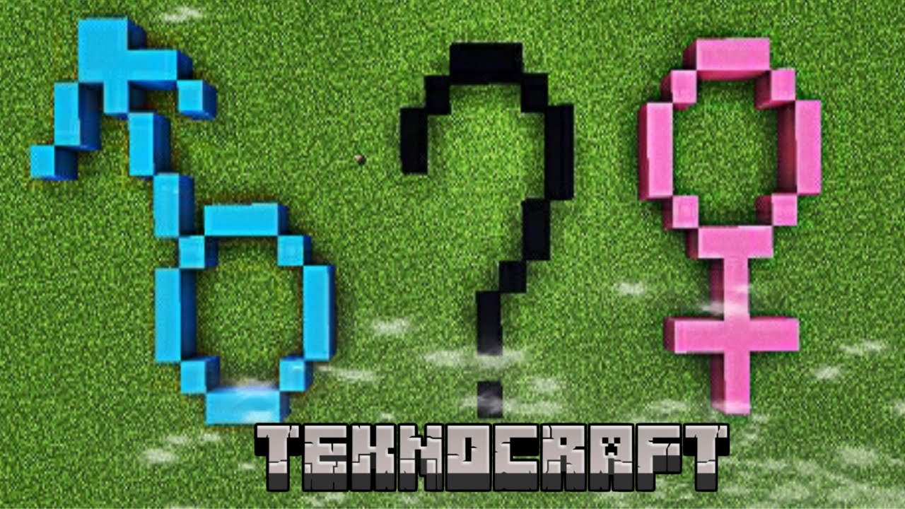 A Very Special Minecraft Gender Reveal on Teknocraft - YouTube