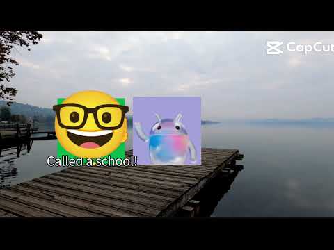 The group of fish is called the school (Fandom Friends) 