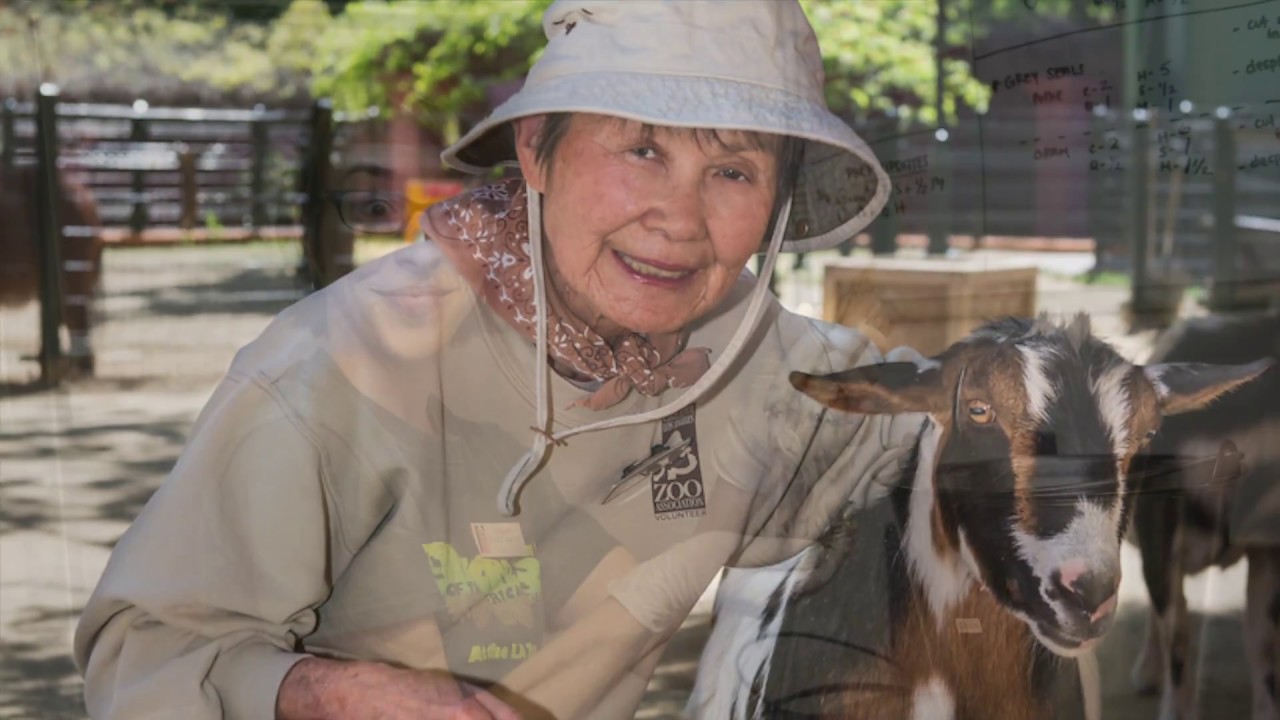 L.A. Zoo Docent Program Information Meeting 7.15.17 - YouTube