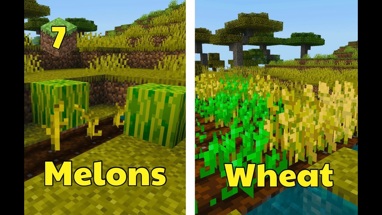 I Built the Best Starter Farms in Minecraft... - YouTube