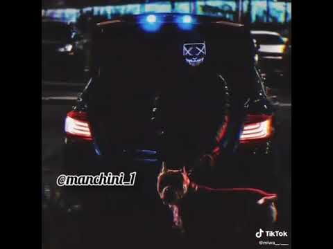 Whatsapp ucun yep yeni statuslar