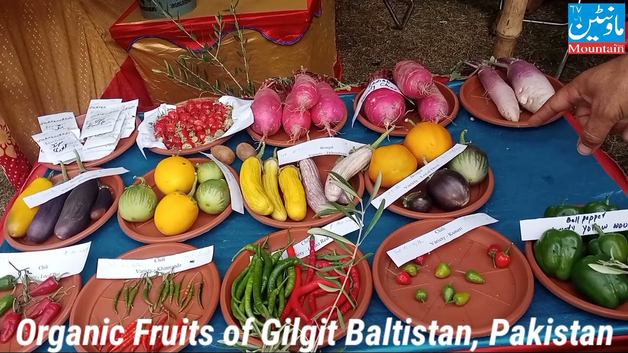 Organic Fruits of Gilgit Baltistan Pakistan - YouTube