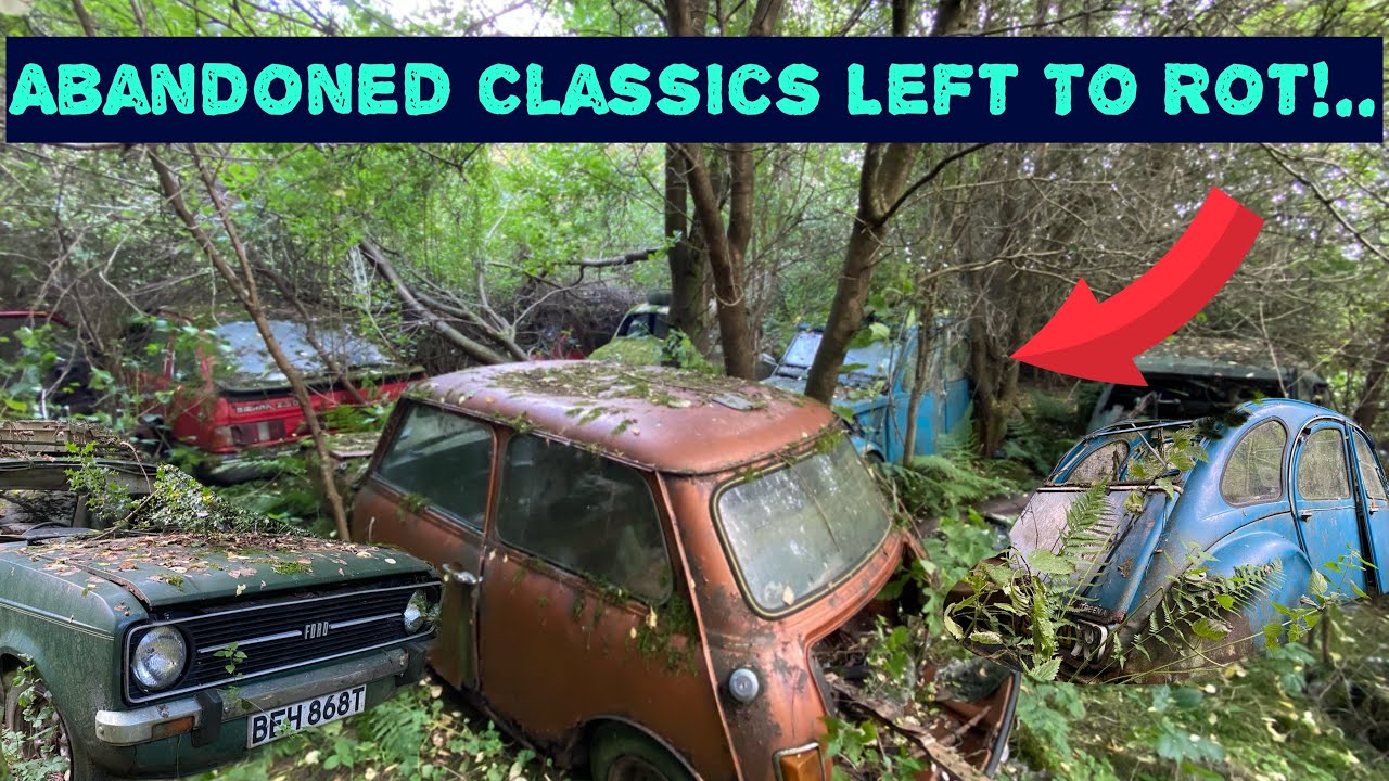 Extremely Rare Classic Car’s Left & Forgotten In A Forest ...