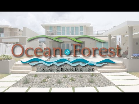 Ocean Forest (Rio Grande) 4K - YouTube