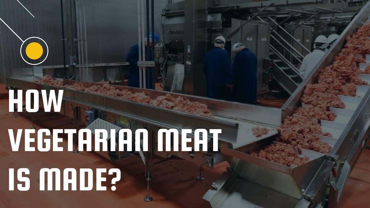 How Vegan Meat is Made? Production of Plant Based Meat - YouTube