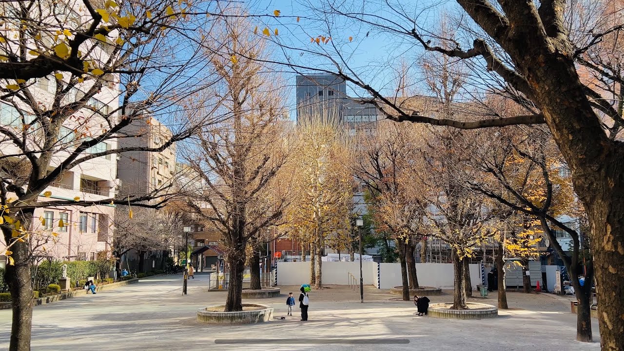 Sound of Tokyo • 11•O7 A•M• Thursday • 2O24•12•26 - YouTube