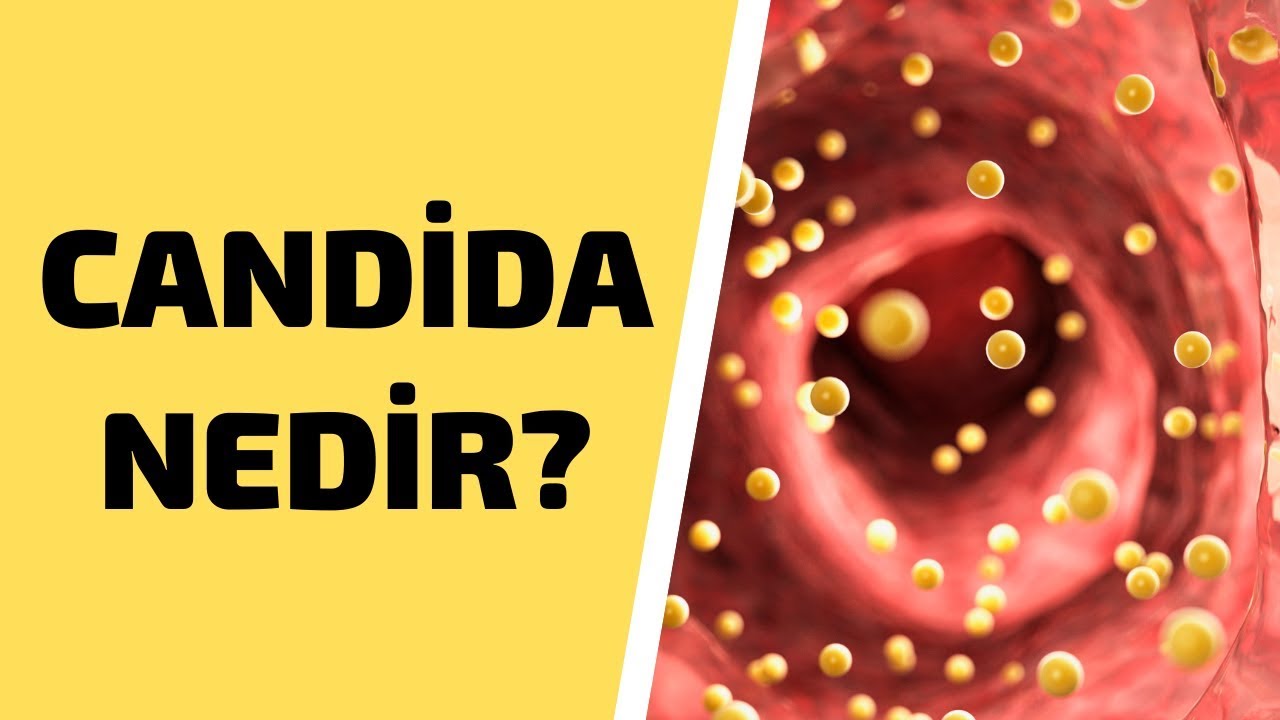 Candida Nedir? Candida Neden Olur? | Candida Mantarından Nasıl ...